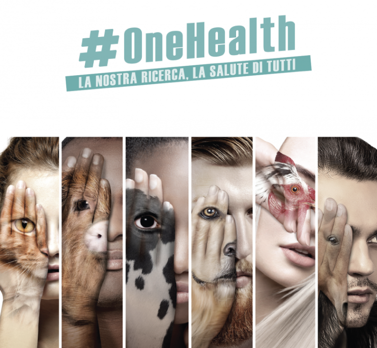 Salute e prevenzione: l’approccio "One Health" di MSD Animal Health ...